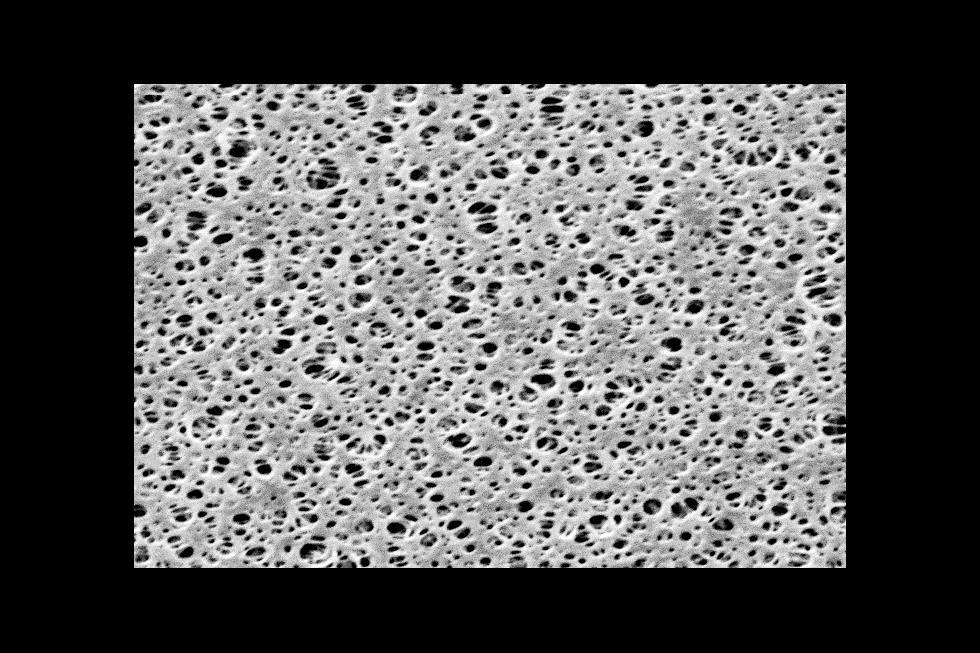 Testing of microorganisms for microbial limits testing by membrane ...